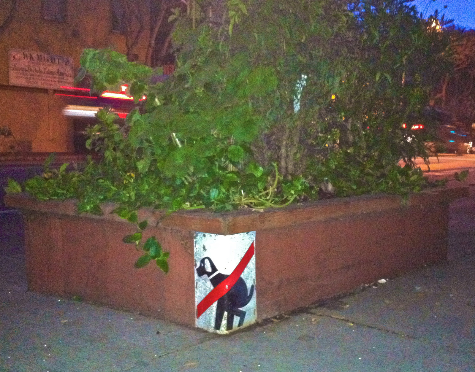 Negative Snoopy Makes the Poopy - Mission Local