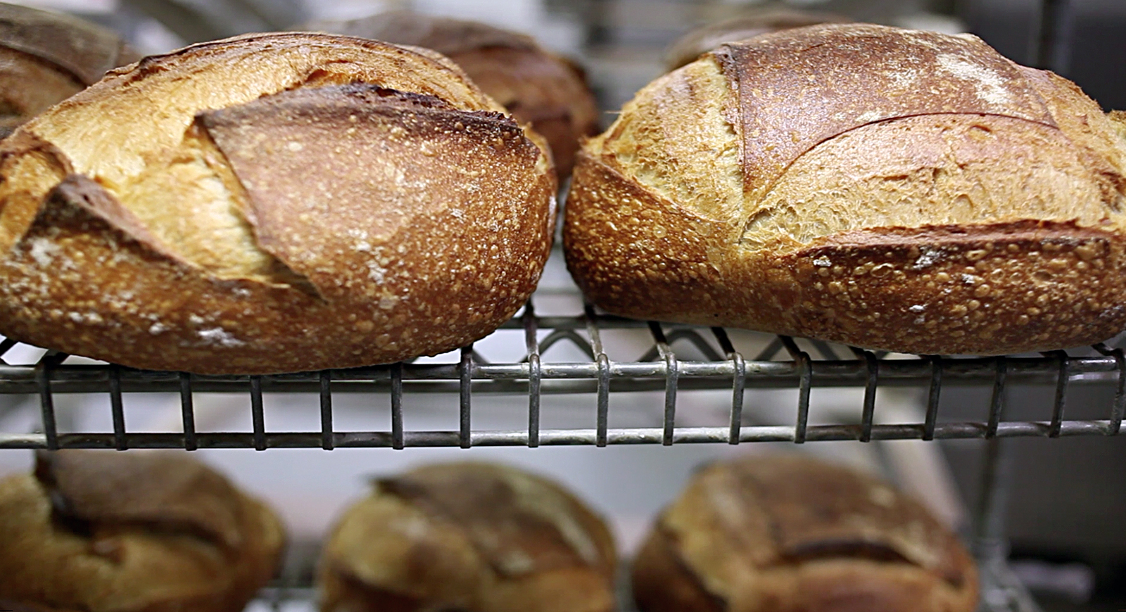 PANoRAMA: 20,000 Loaves a Day - Mission Local