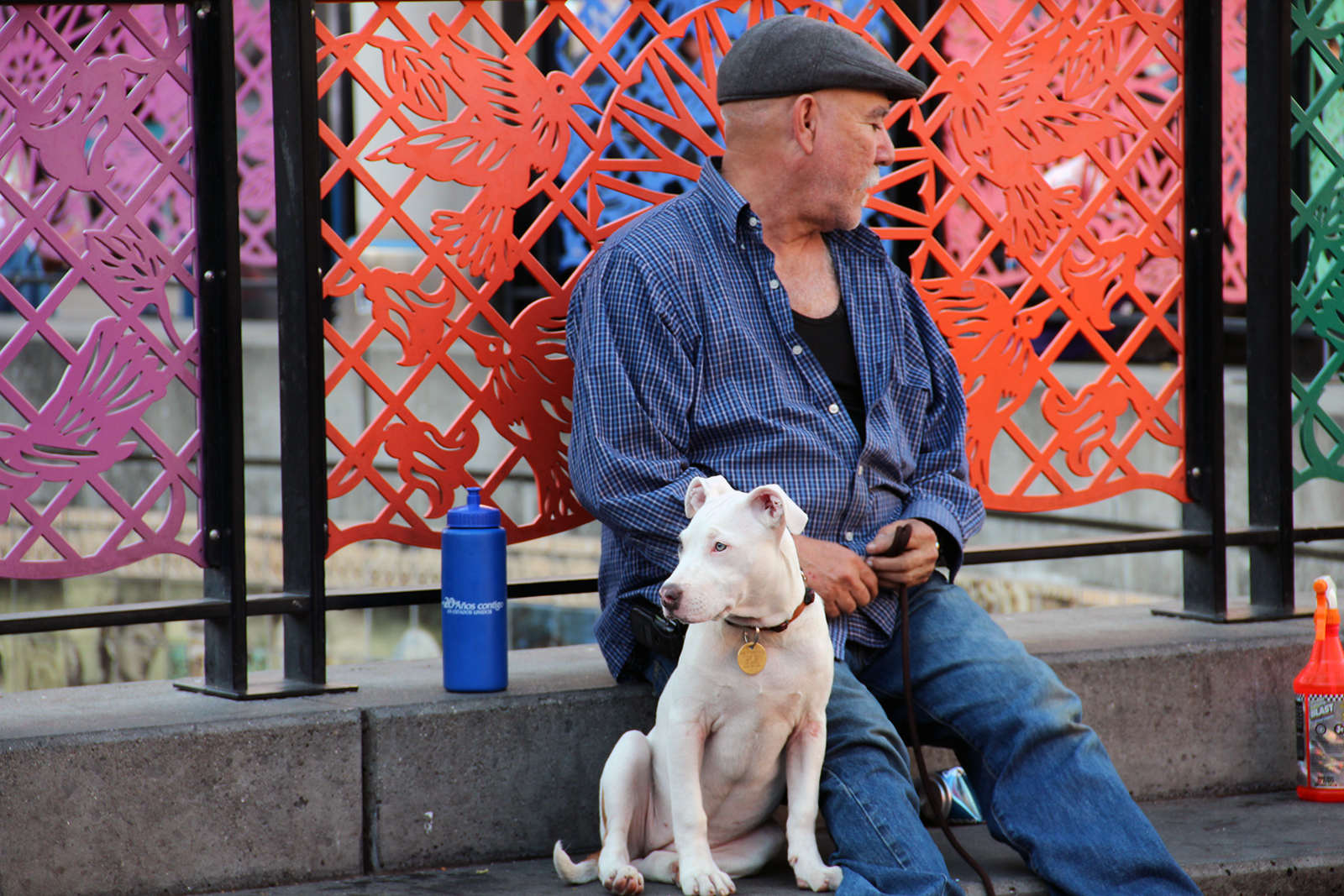 SNAP: Opposite Directions - Mission Local