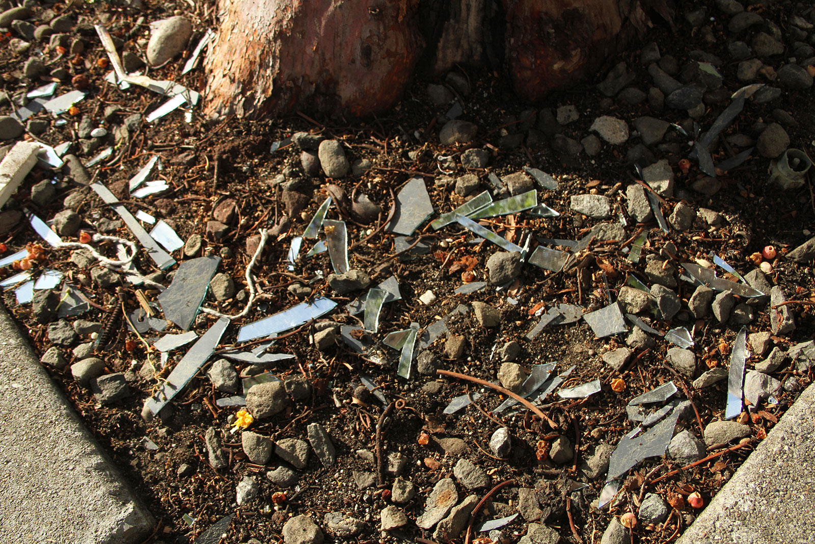 SNAP: Rock, Glass, Dirt - Shoot - Mission Local