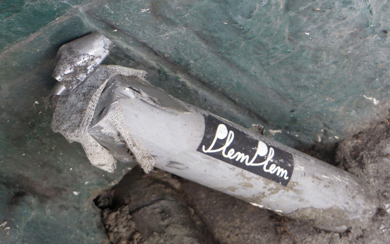 SNAP: PlemPlem - Mission Local