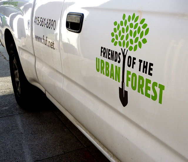 A More Leafy Mission: Plant a Tree - Mission Local