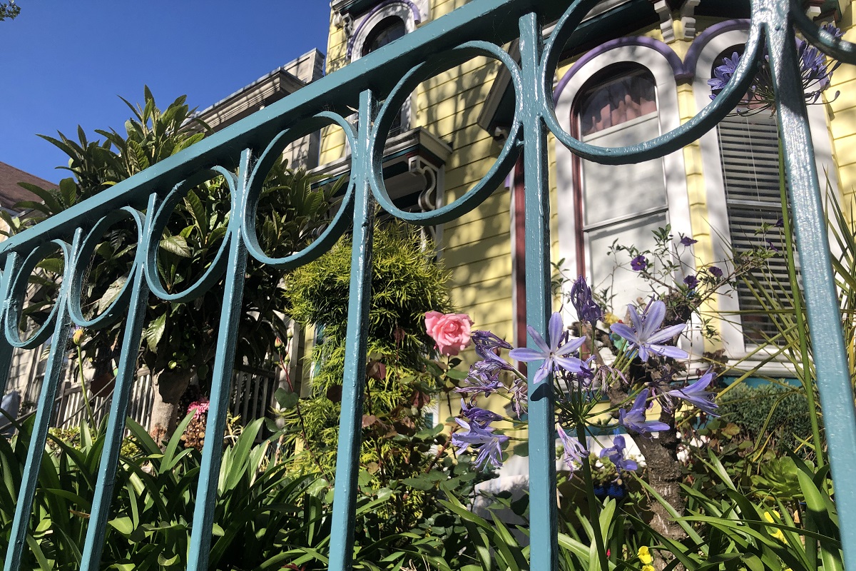 Explore: The Mission's gardens, from parklets to sidewalk flowers