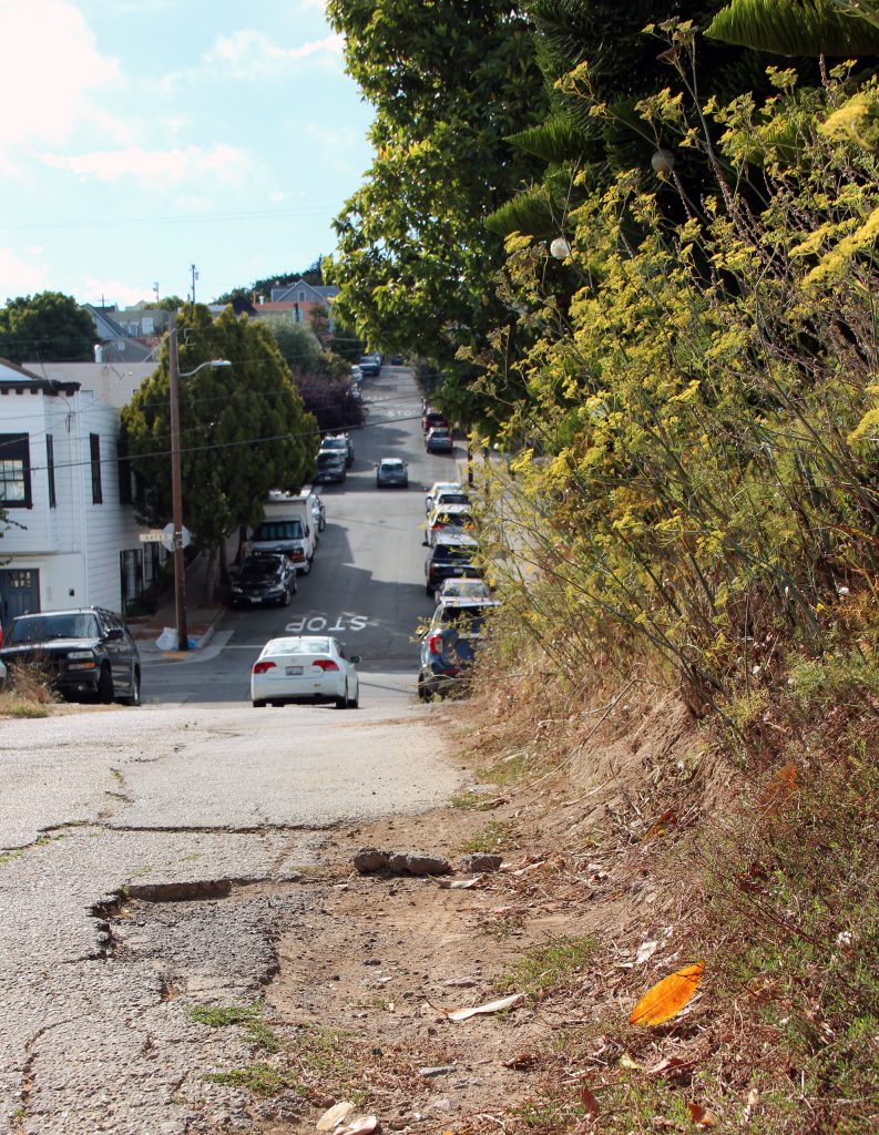 Neglected Bernal Heights block re-imagined as community garden