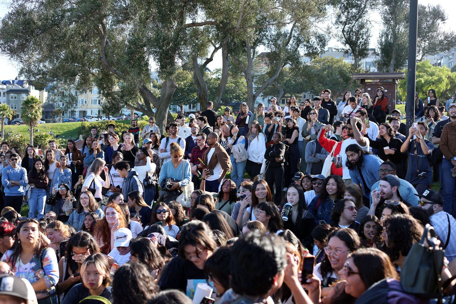 Hundreds gather at Dolores Park to crown Dev Patel lookalike
