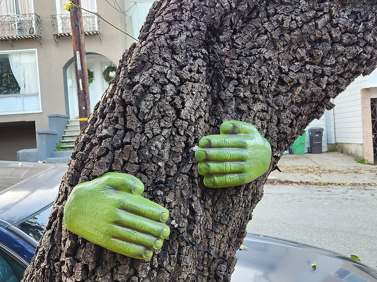 Tree hugger - Mission Local