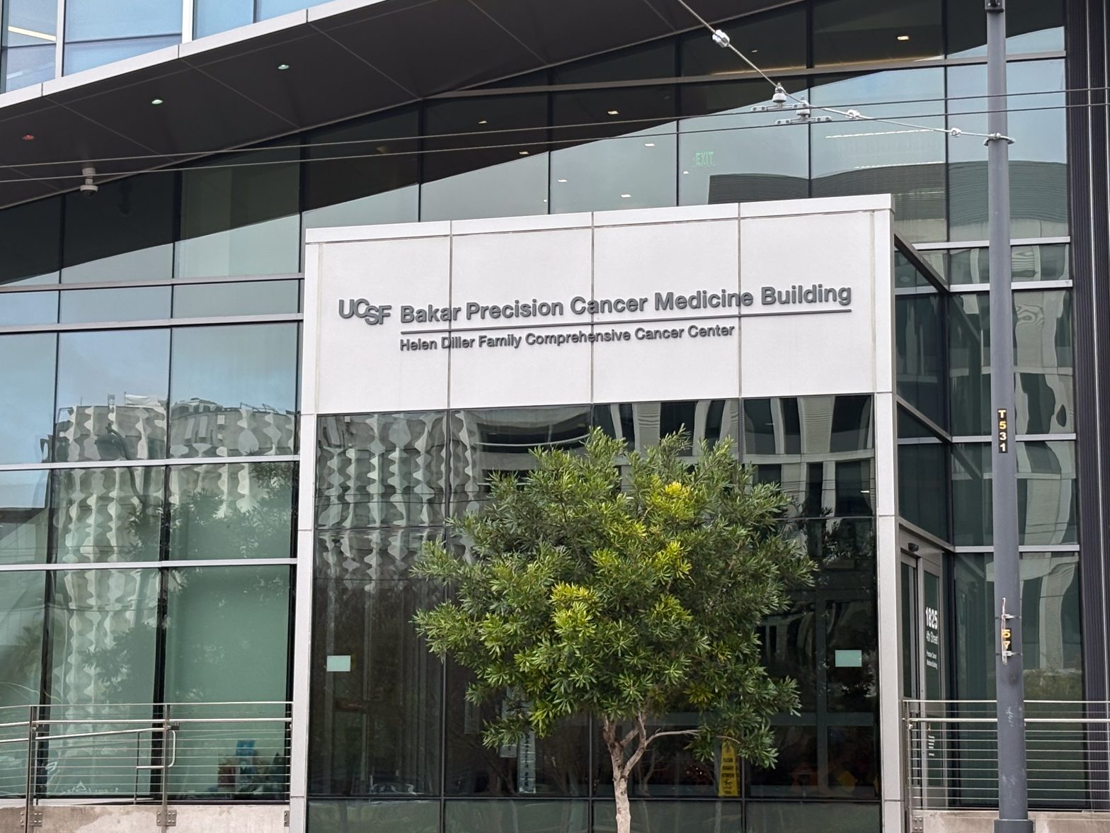 UCSF ‘borders on panic’ facing potential Trump funding slash