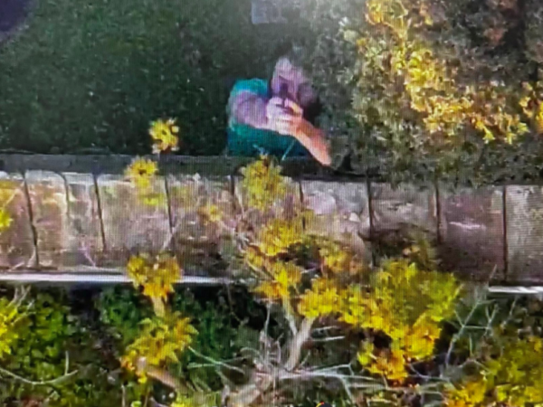 Julie Kirschbaum gets permanent gig to lead SFMTA