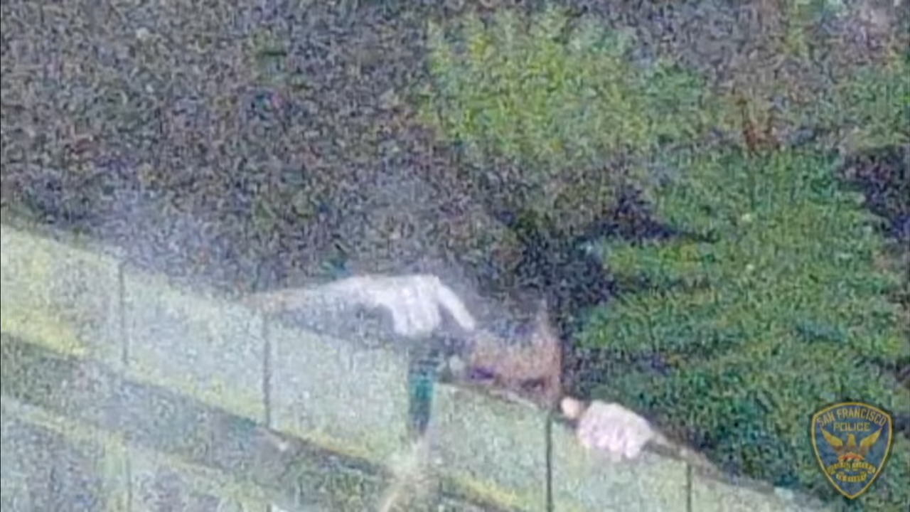 S.F. judge releases armed Outer Sunset man shot at by SFPD