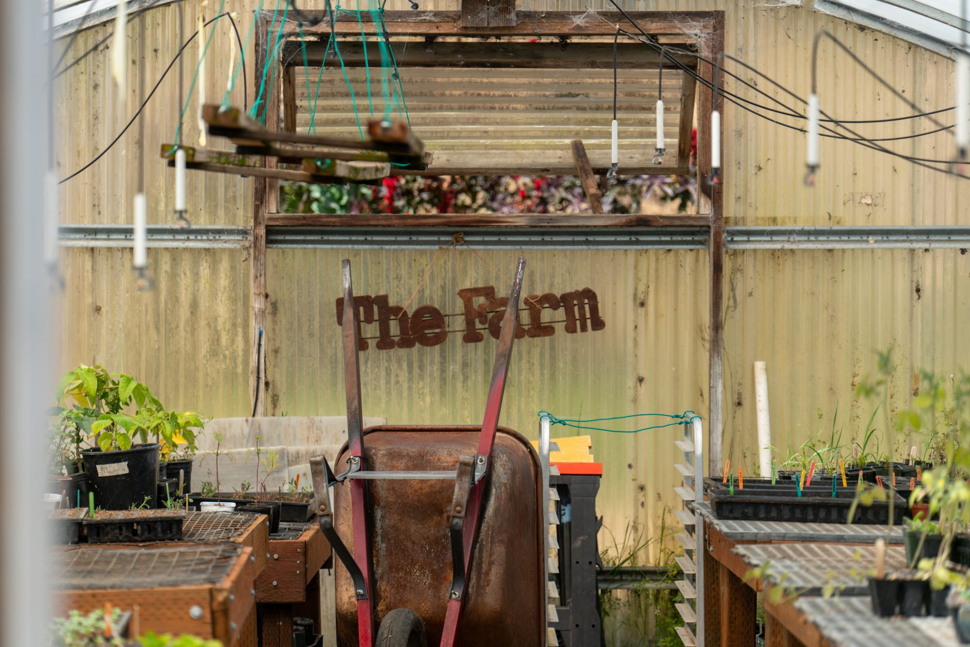 San Francisco’s largest urban farm is at risk of shutting down