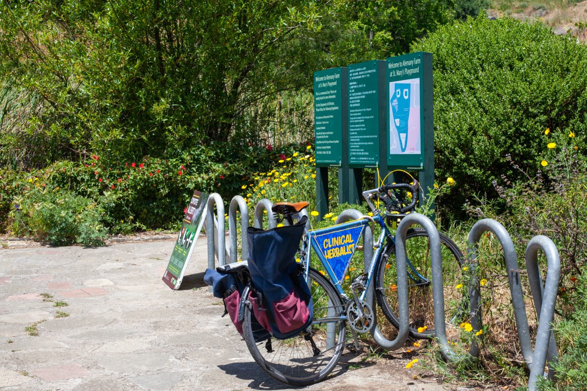 San Francisco’s largest urban farm is at risk of shutting down