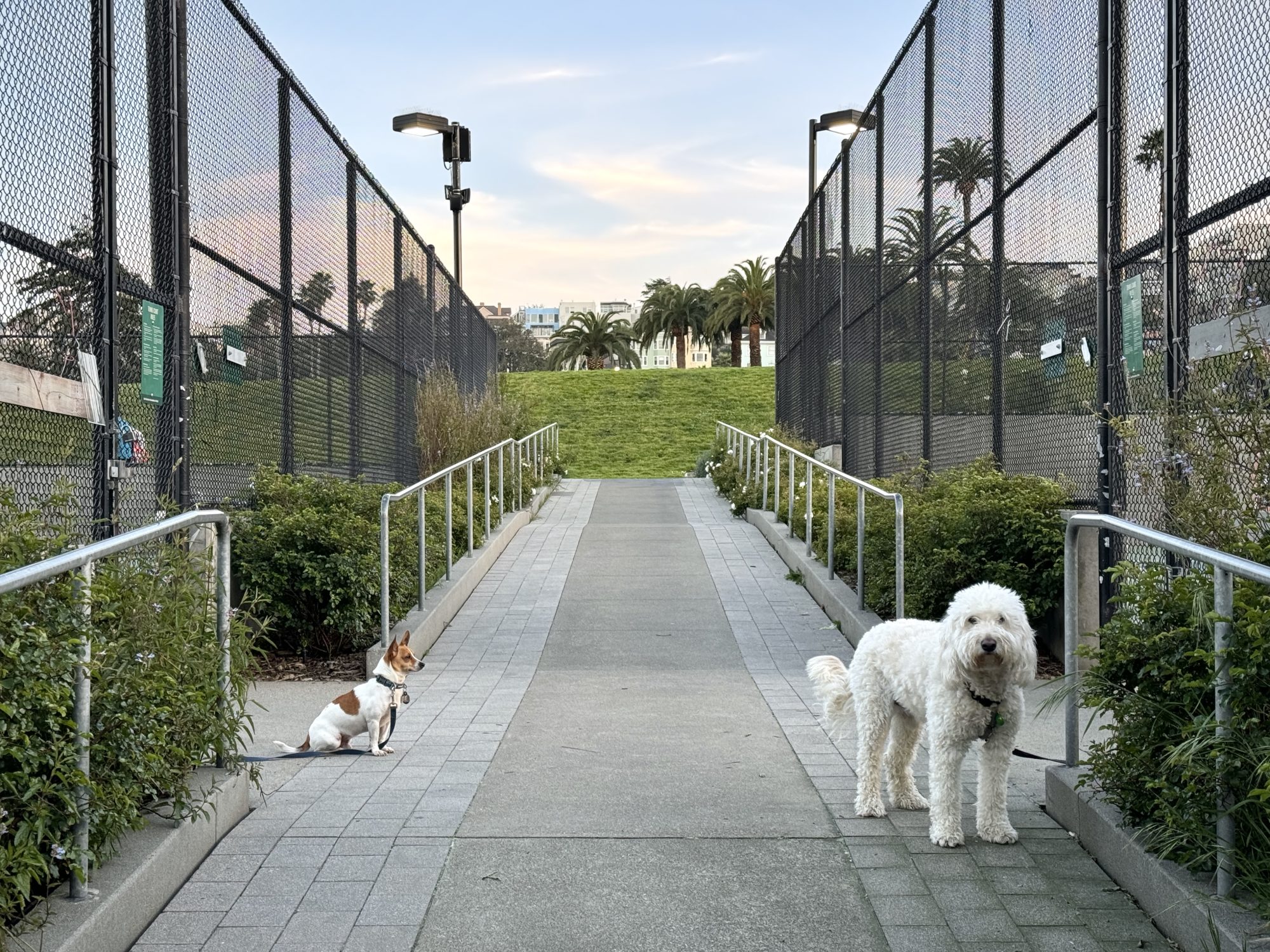 S.F. tennis and pickleball reservations may soon cost you money