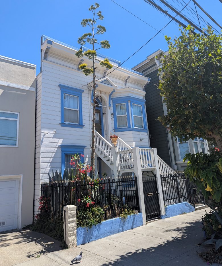 Temporary agave height variance