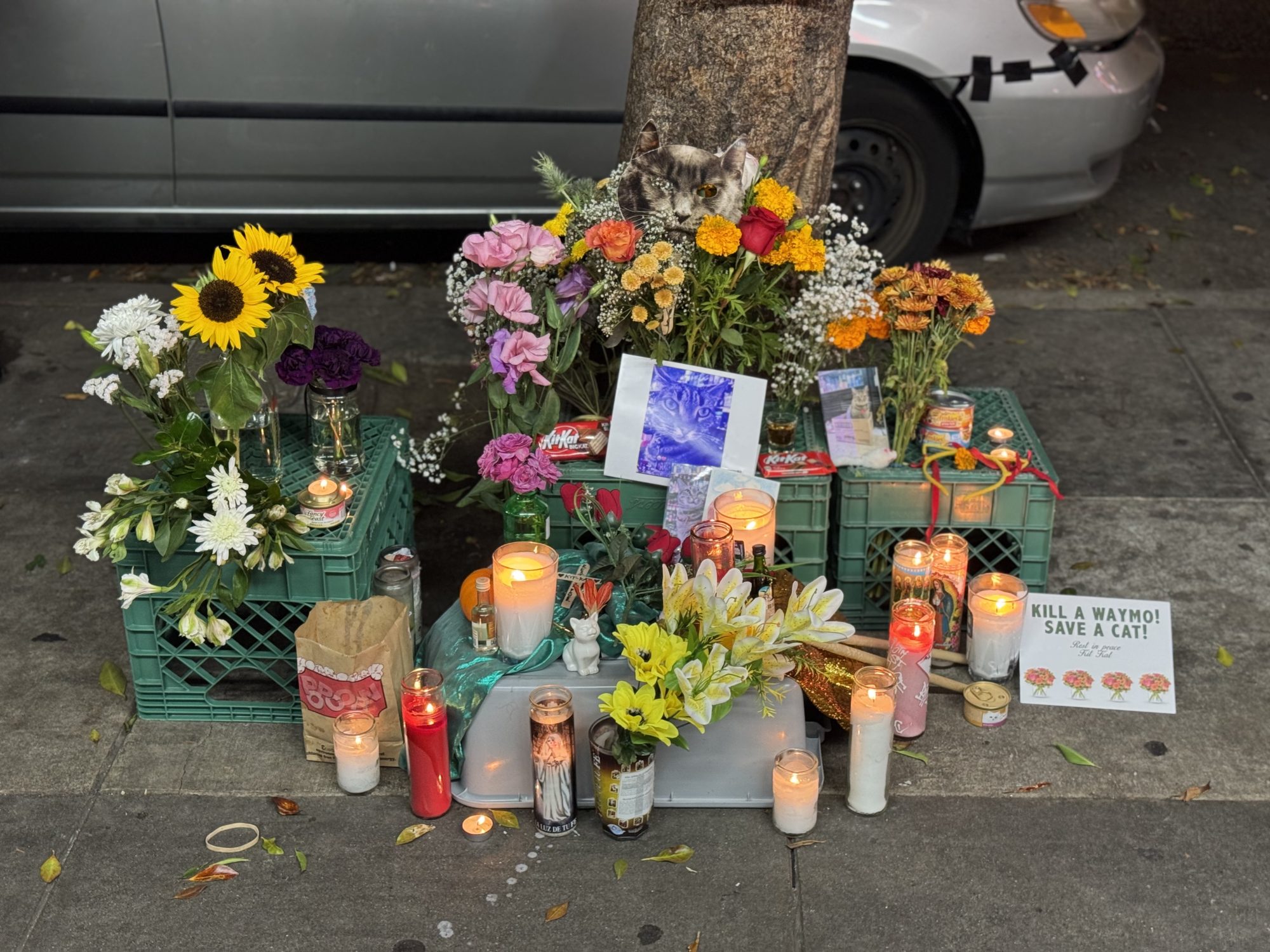 KitKat, beloved S.F. bodega cat, allegedly killed by Waymo