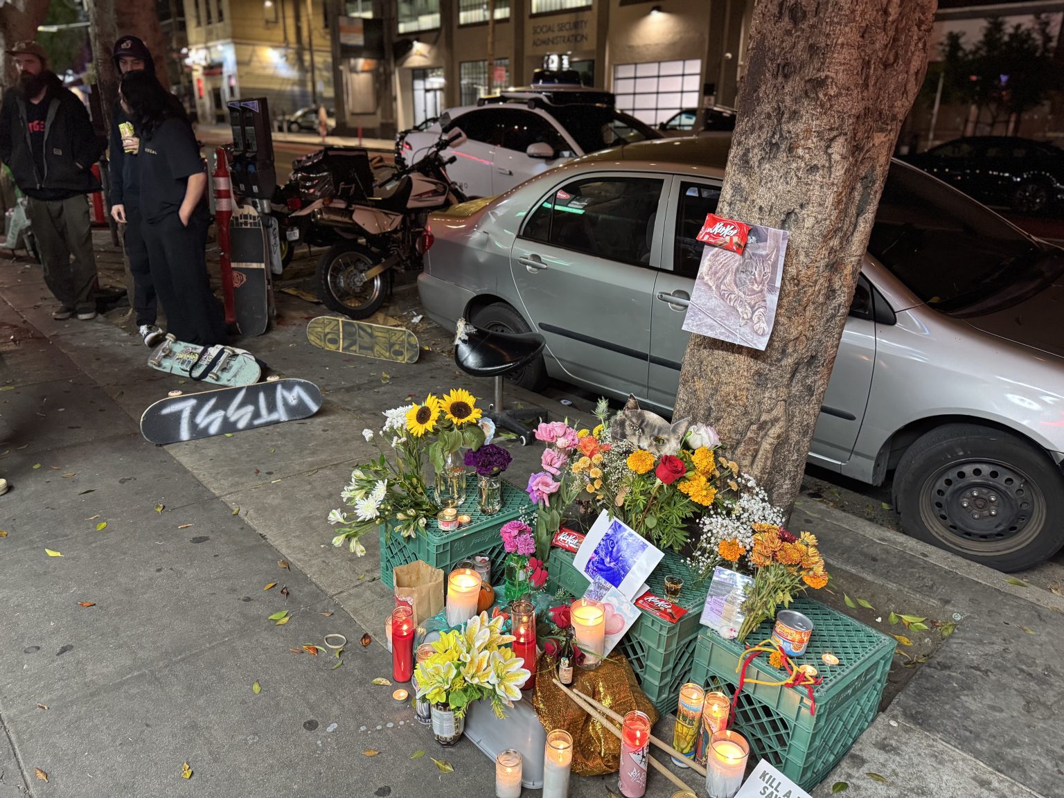 KitKat, beloved S.F. bodega cat, allegedly killed by Waymo