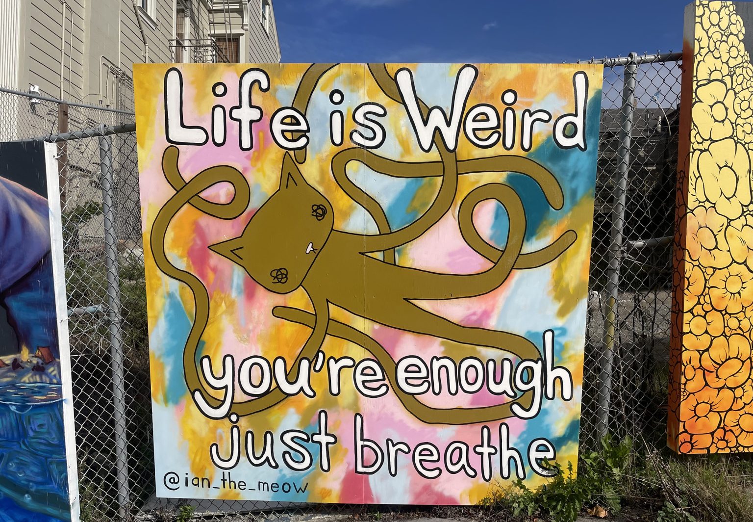 Meet 'Ian the Meow,' the S.F. mural cat telling us life can be weird