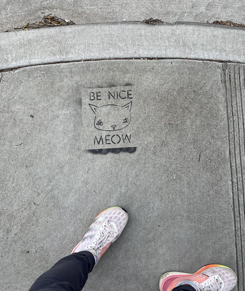 Meet 'Ian the Meow,' the S.F. mural cat telling us life can be weird