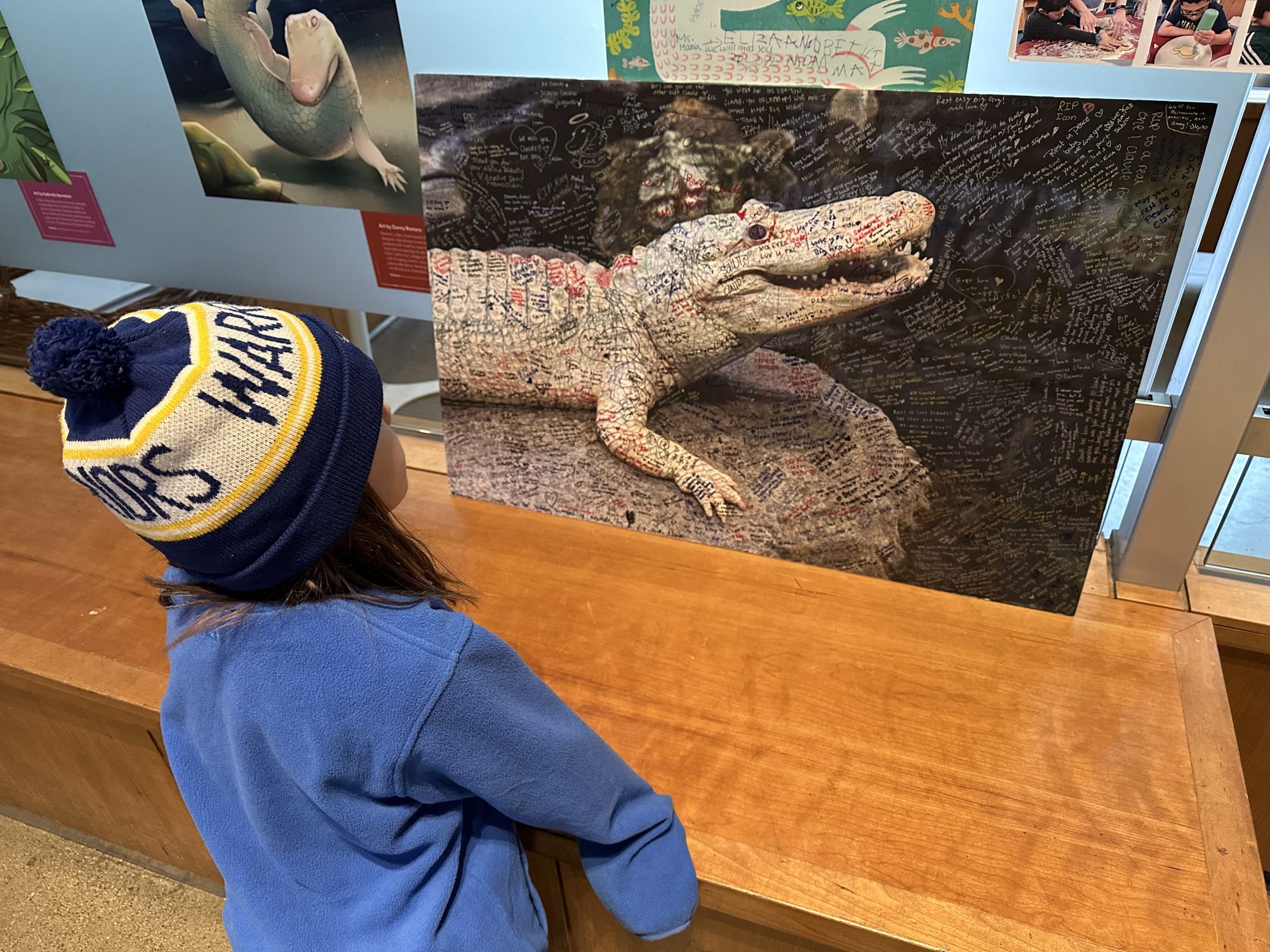 Which S.F. street did you vote to rename for Claude the Alligator?
