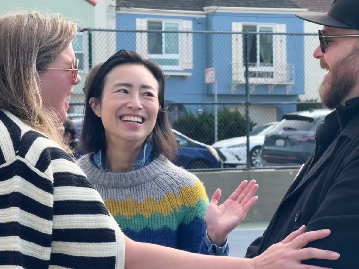 Chinatown daughter, billionaire-taxer: Chan runs for Congress